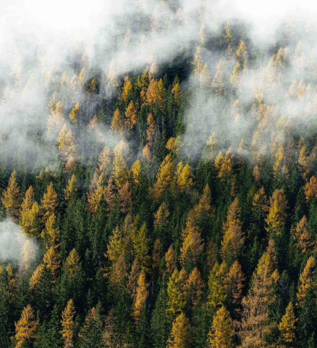 Implement Consulting Group in Zurich | Implement